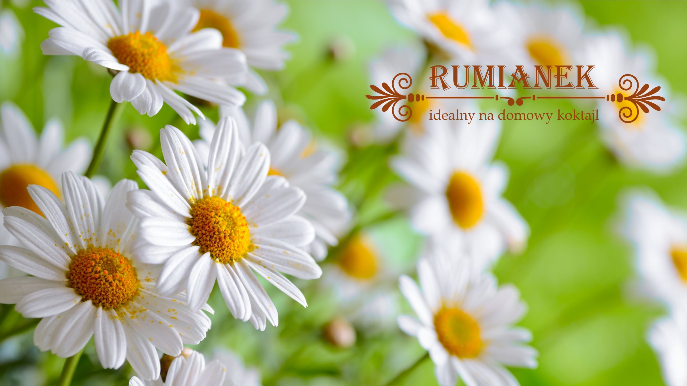 RUMIANEK-USPOKAJA I RELAKSUJE