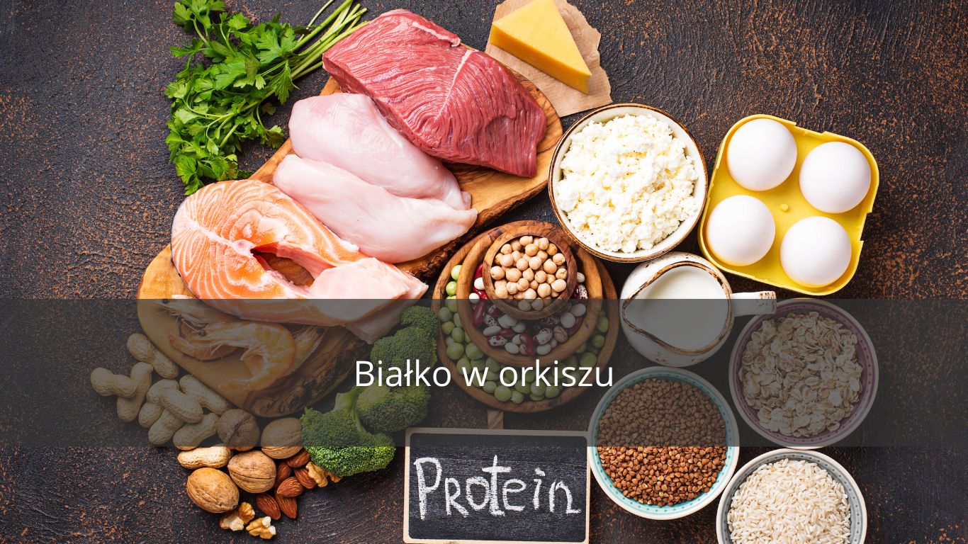 ILE BIAŁKA ZAWIERA ORKISZ?